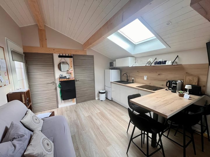 Logement Cosy, Bord Du Léman - Évian-les-Bains