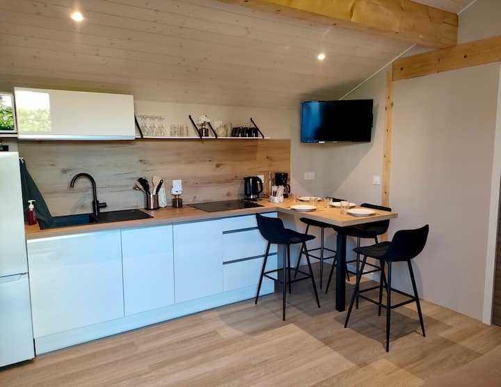 Appartement Dans Maison Au Bord Du Léman - Évian-les-Bains