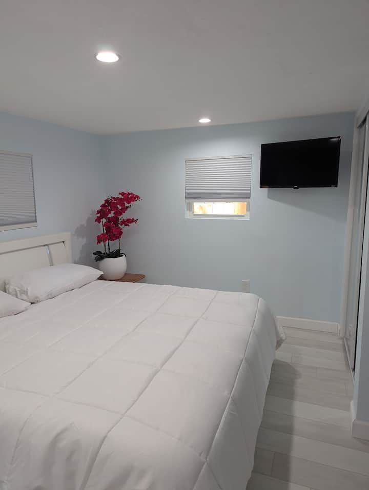 Three Palm Hideaway - New Port Richey, FL