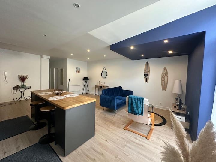 Agréable Appartement Rénové Centre De Peyrehorade - Peyrehorade