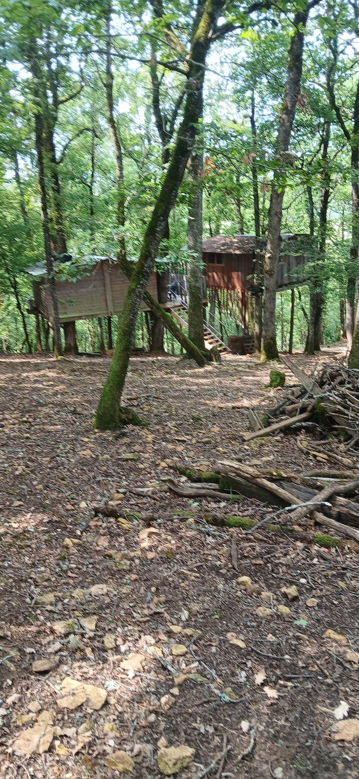 Cabanes Perchées Et Roulotte En Périgord Noir - Monpazier