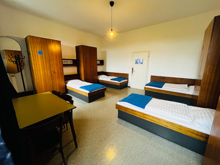 Numbr25 – Budget 4-bed Room - Graz