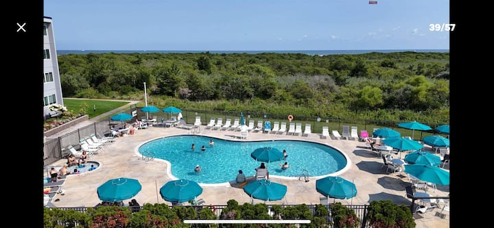 Brigantine Oceanfront Getaway - Marine Mammal Stranding Center