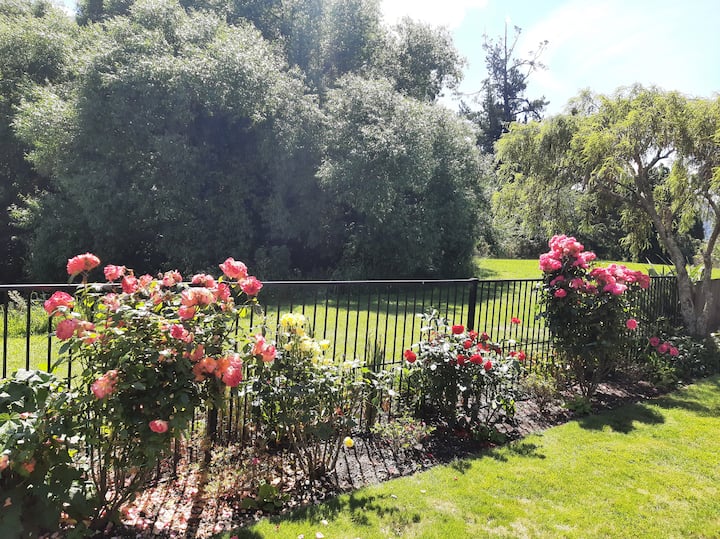 Peaceful By The Stream - Rotorua