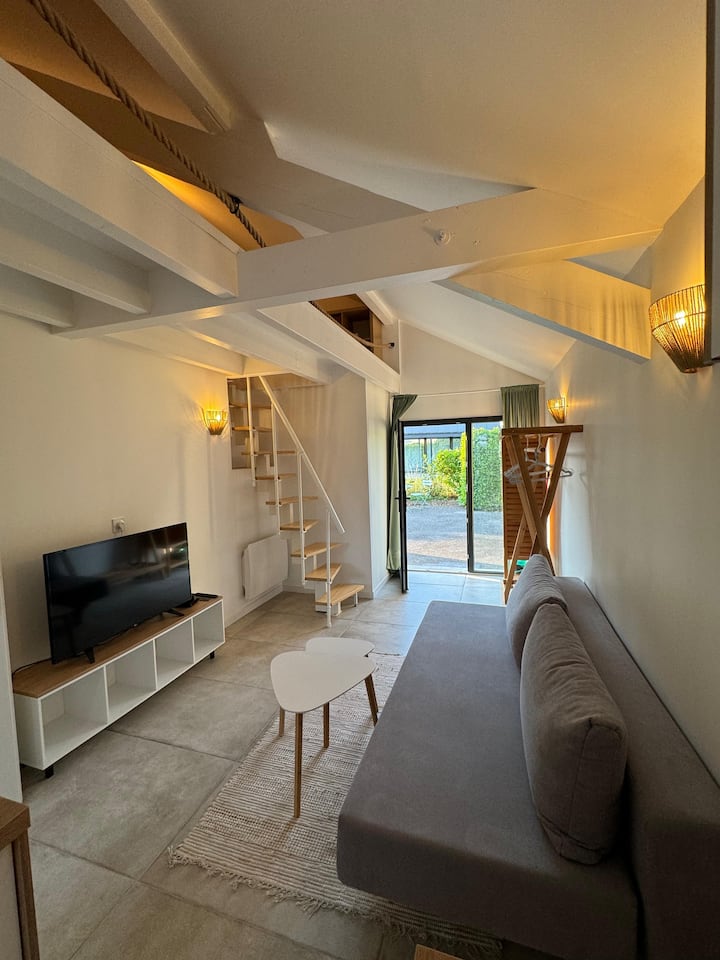 Charmant Studio Avec Mezzanine - Douvaine