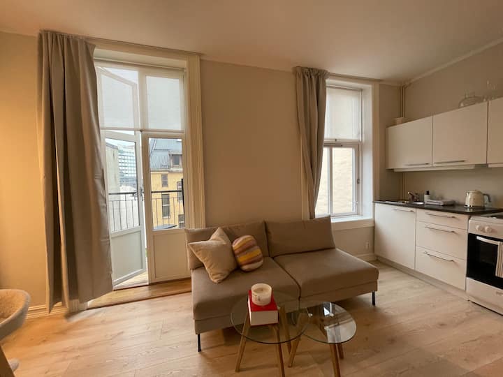 Koselig, Lys Og Liten Leilighet Nær Slottet - Noorwegen