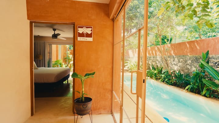 Casa Sofía; Lujo Y Comodidad - Mérida