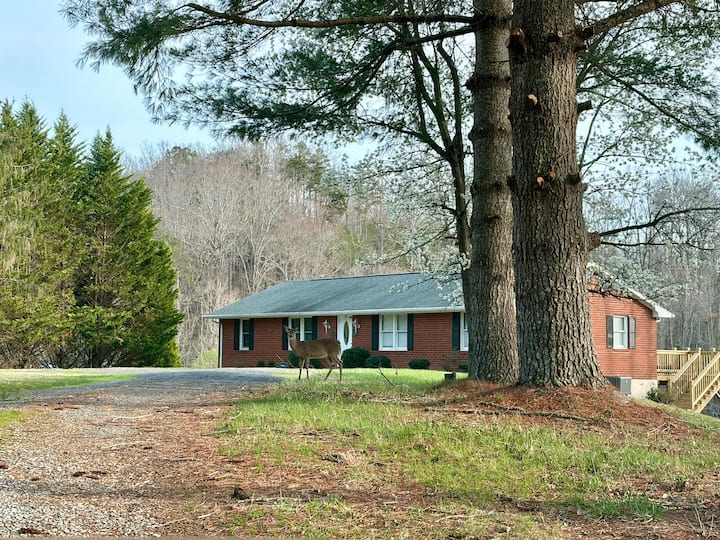 Quiet Lakeside Retreat - Dog Friendly! - Moneta, VA