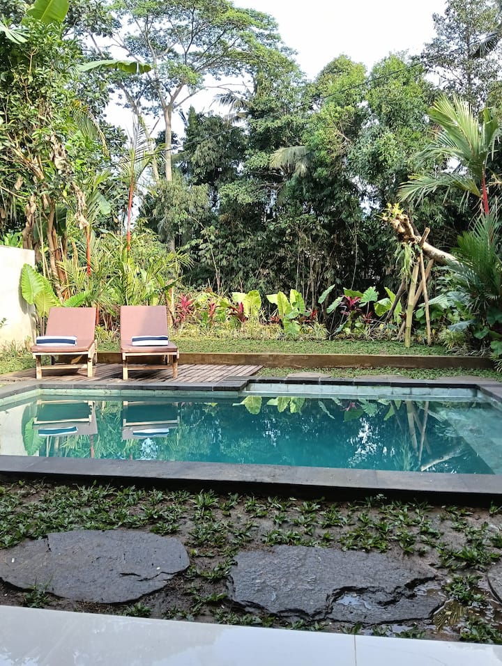 Private Pool Villa With Jungle And River View - Ubud