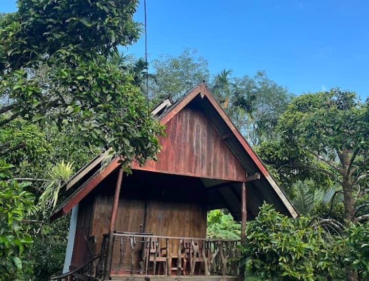 Bb House Fan Khaosok - Khao Sok