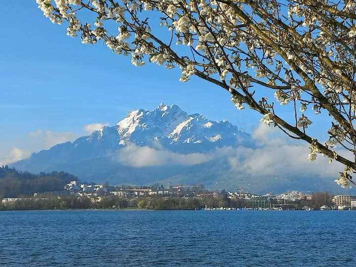 Lovely Private Apartment For You - Lucerne
