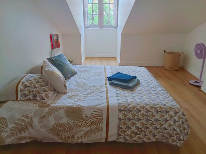 Chambre Seule Centre Historique - Périgueux