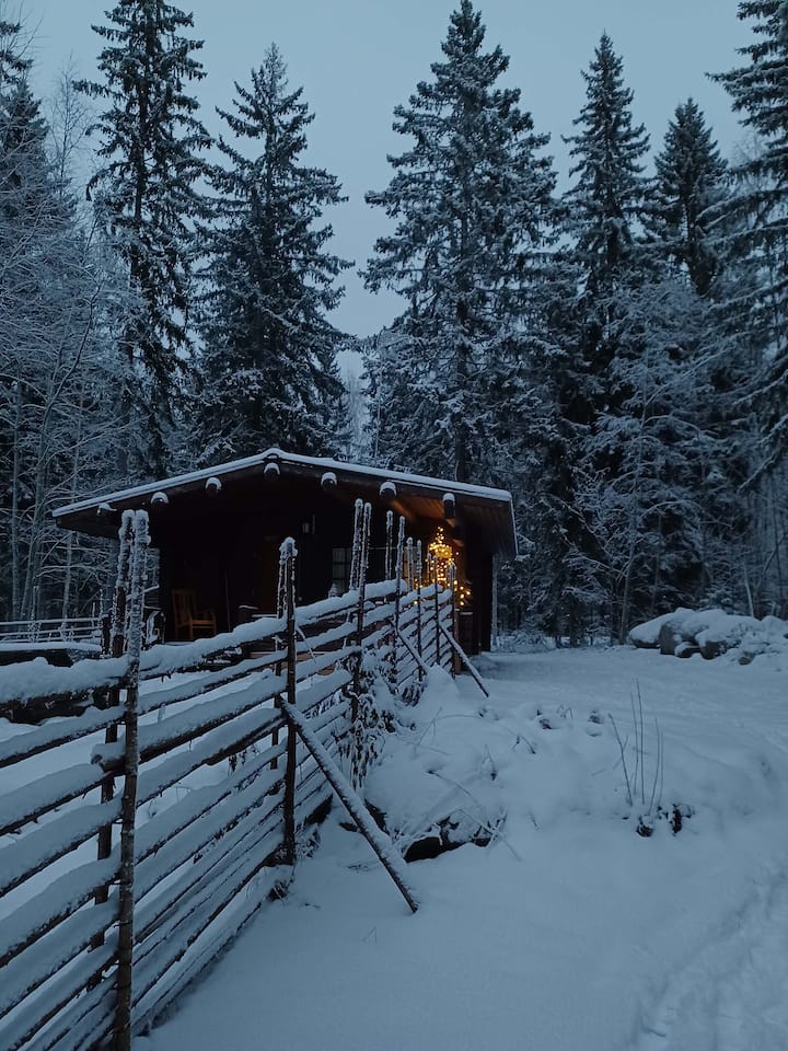 Kontu - Lumoava Pikkumökki - Äänekoski