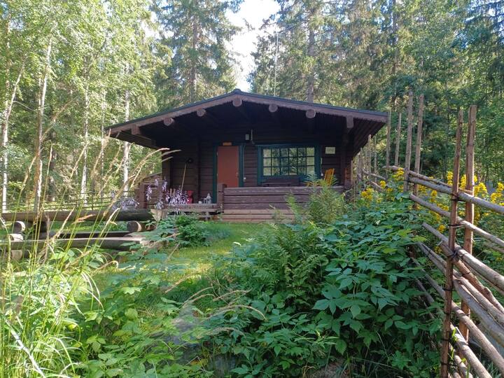 Kontu - Lumoava Pikkumökki - Äänekoski