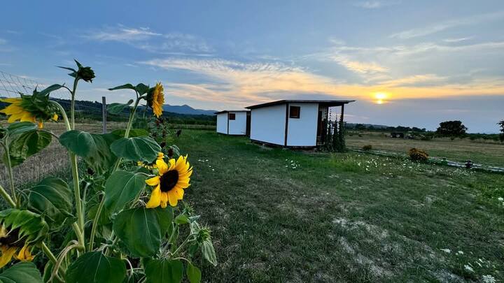 Walhalla Camping - Budureasa