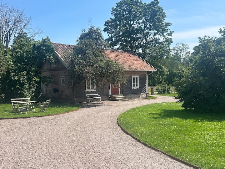 Charmig Flygel - Tibro