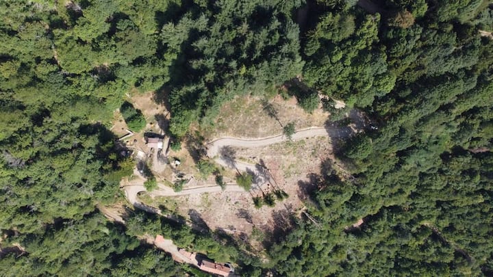 La Contea Dell' Upupa - Vidiciatico