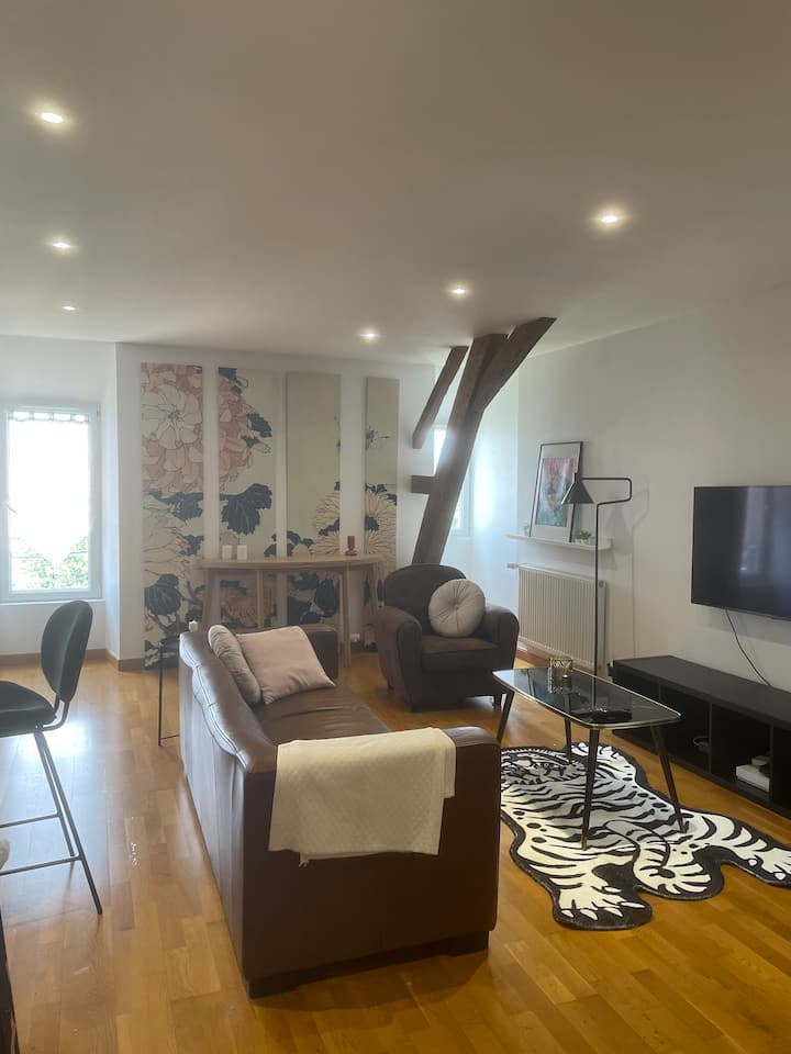 Appartement Chic Au Cœur De Laval - Laval, France
