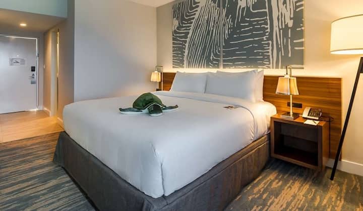 4 Beachfront Rooms With Pool Near Hugh Taylor Park - Fort Lauderdale, FL