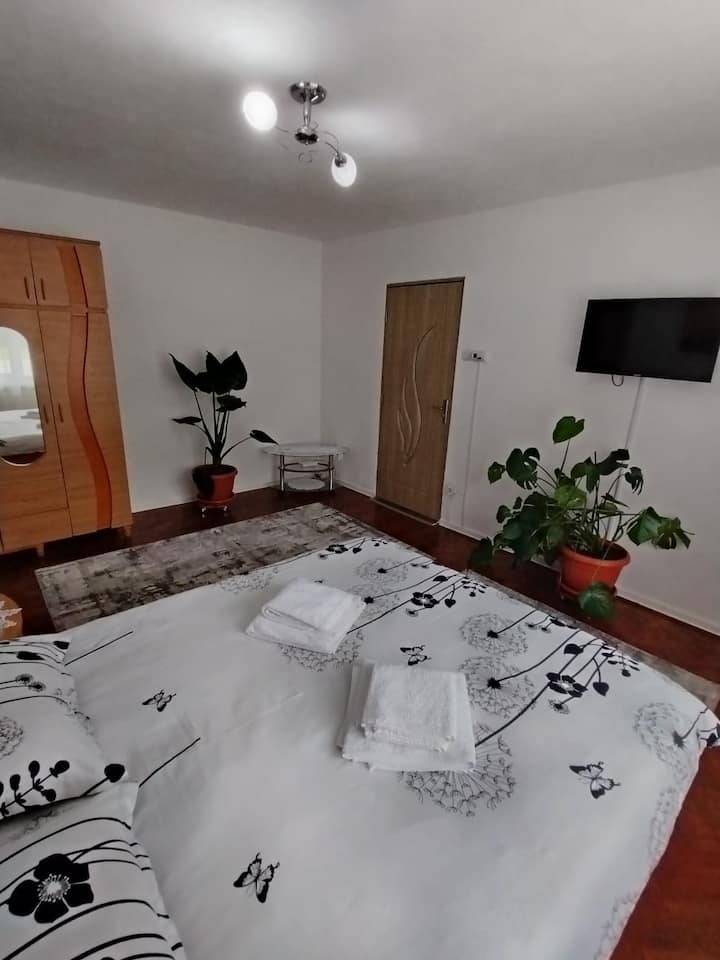 Apartament Nicoleta - Sibiu