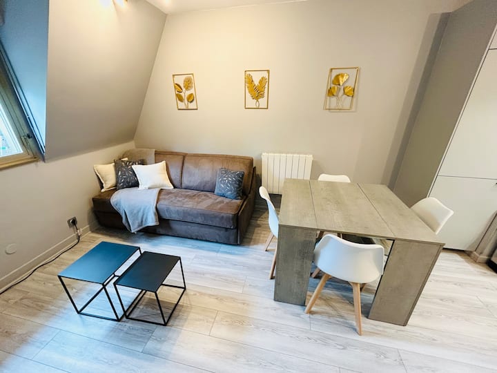 Duplex Plages - Deauville