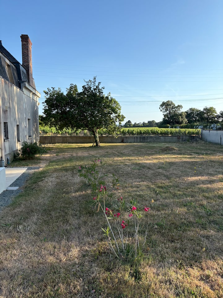 Maison Au Cœur Du Vignoble - Maine-et-Loire