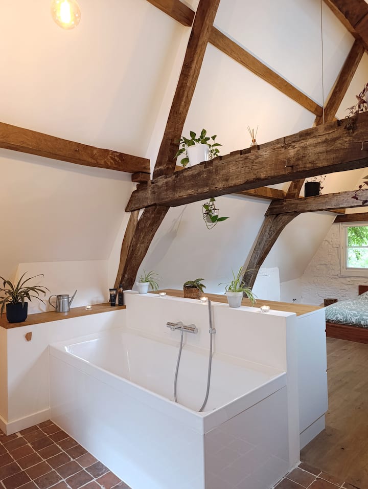 Prachtig Groot Prive Huis In Old Town 4 Etages - Antwerpen