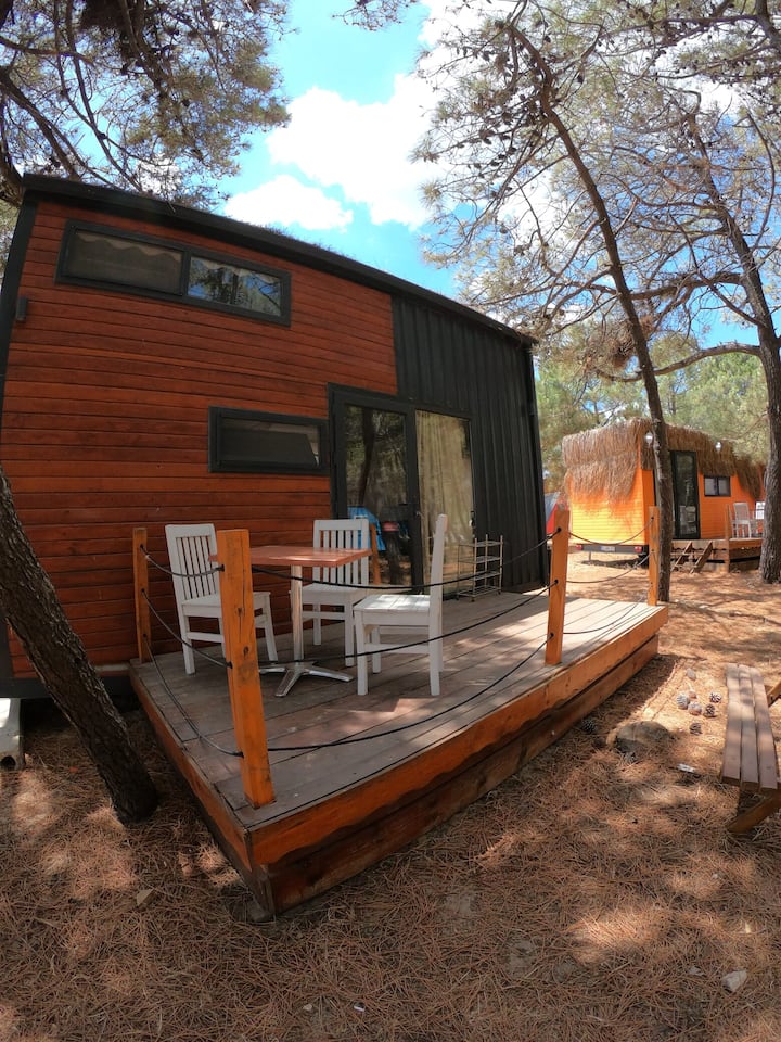 Kozalak Tiny House - Erikli