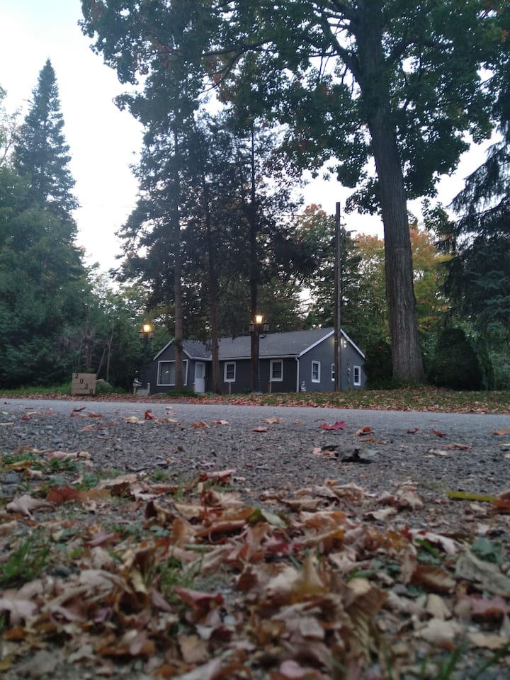 The Calm Cove (Cc) - Innisfil