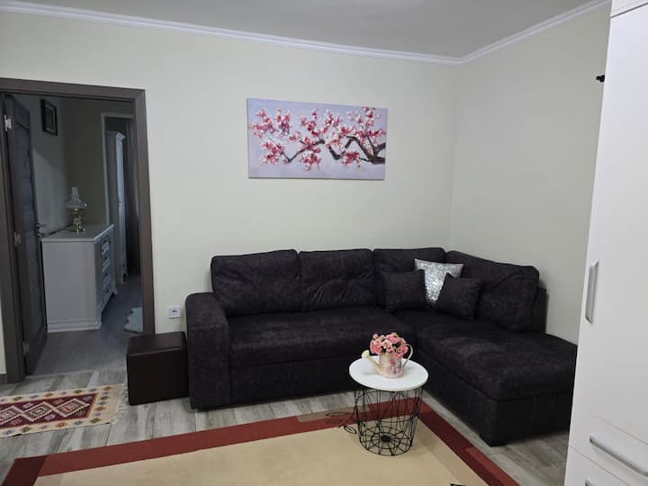 Két Hálószobás Apartman, Közterekkel  390 Ron/nap - Târgu Mureș