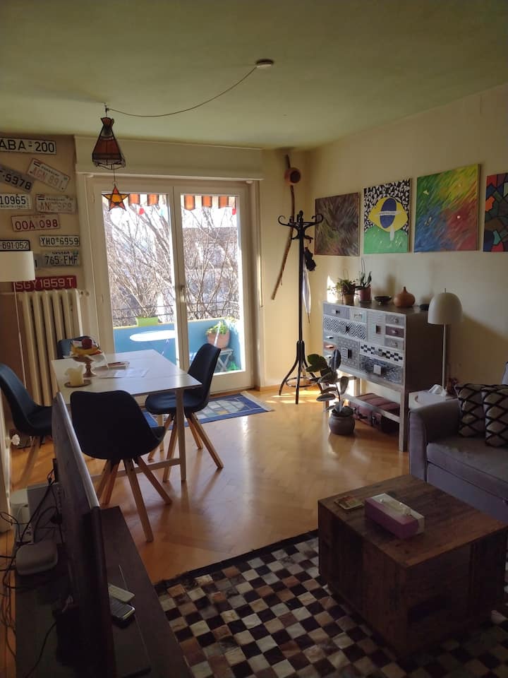 Sweet And Cosy Apartment In City Center Of Zurich - Zürich