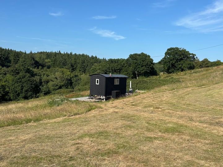 The Hayfield Shepherds Hut - East Sussex