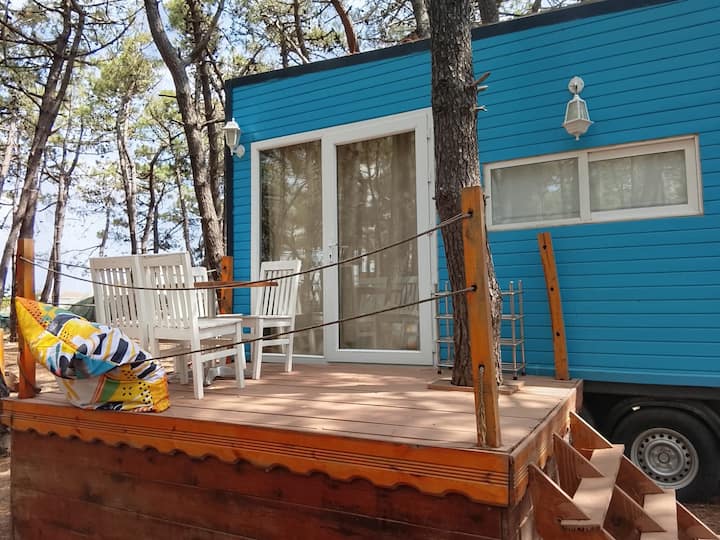 Tiny House - Erikli