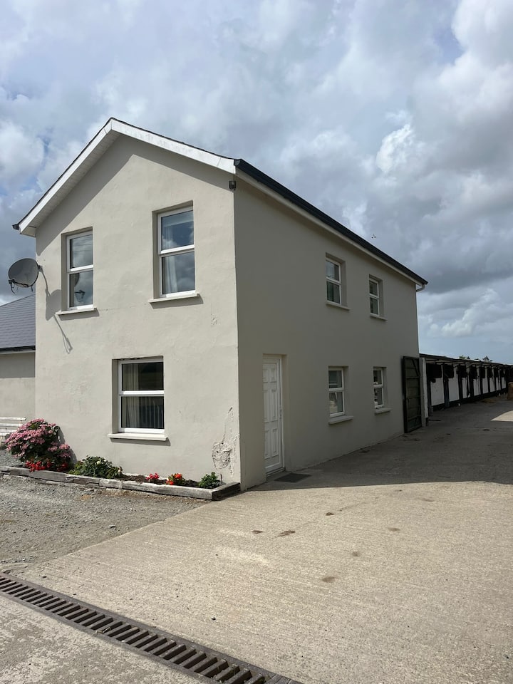 Belmont Stud - Wexford