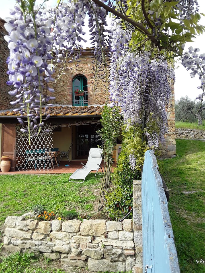 Poderino La Noce2 Vinci Vista Wifi. - Vinci