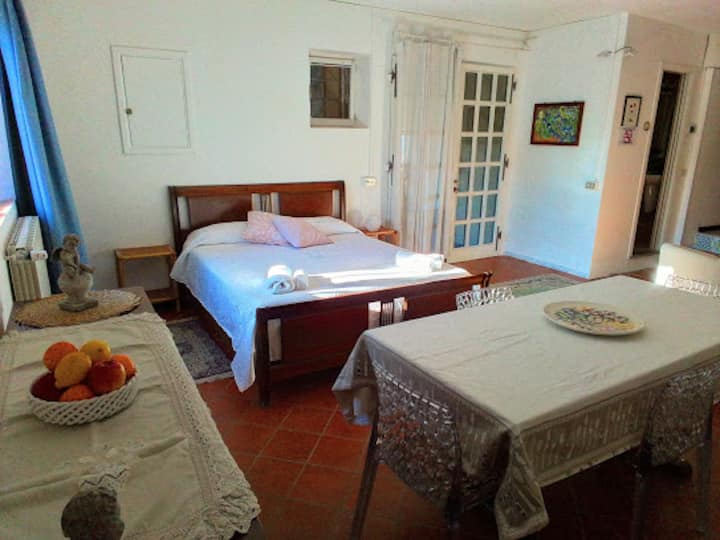 Appartamento In Collina Wifi Vista - Vinci
