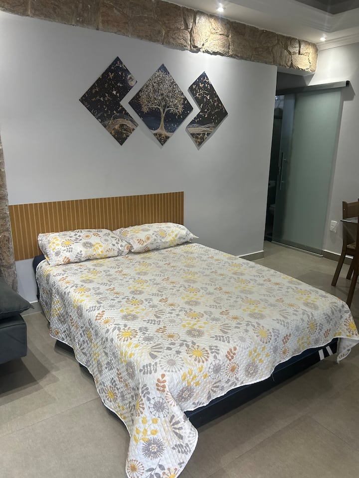 Studio Super Aconchego (30m2) Perto Do Roda Branca - Passos