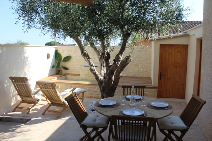 Gîte L'olivier Des Pallencs - Mallemort