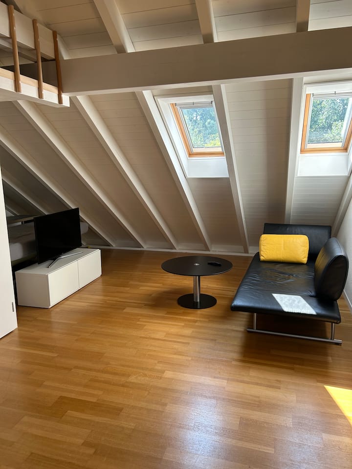 Studio Im Dachgeschoss - Kreuzlingen