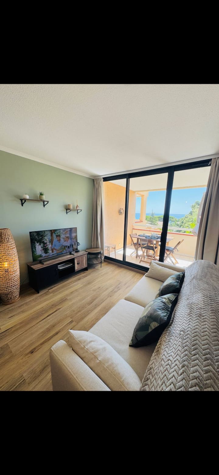Appartement Vue Mer, Plage - Le Lavandou