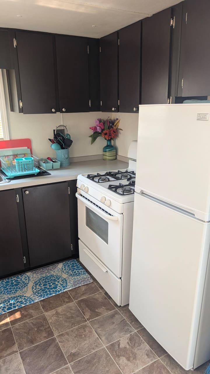 Cozy Tiny House- 25mins From  Downtown Detroit - Farmington Hills, MI