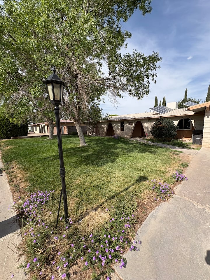 Catalina Paradise - Rockhound State Park, Deming