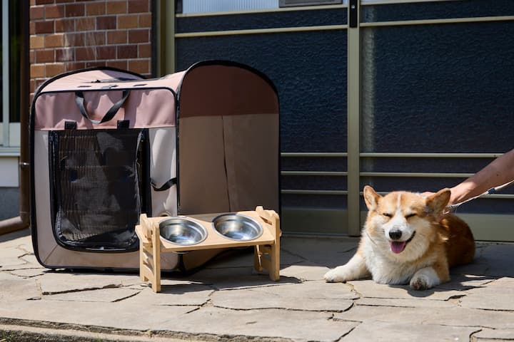 Bbq & Board Games Available | Pet | Up To 6 Guests - 常陸太田市