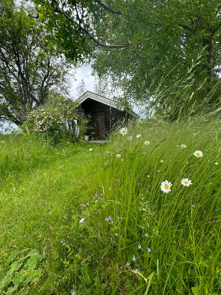 Timmerstuga 2,5 Km Från Dalhalla - Rättvik