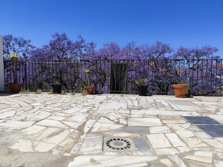 Hugo's Historic Studio - Lisszabon