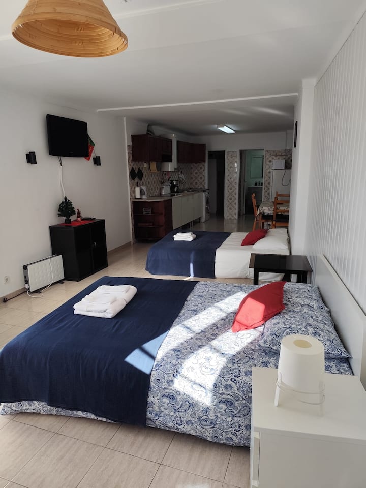 Hugo's Historic Studio - Lisbon