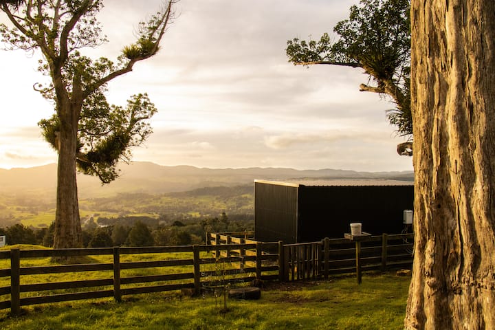 Farm Stay On Waihou Valley - Northland