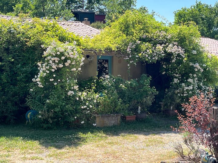 Chambre Miel Terrasse Ombragée - Digne-les-Bains