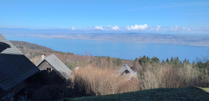 Vacances Lac Et Montagne - Thollon-les-Mémises