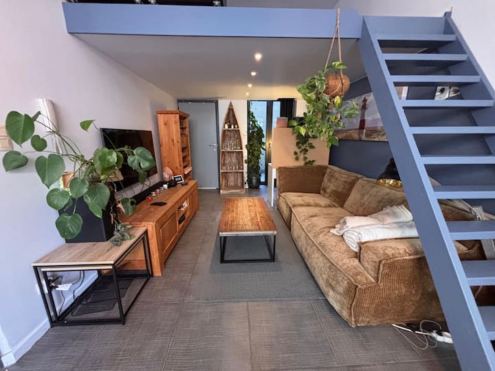 Studio Laureis - Anvers